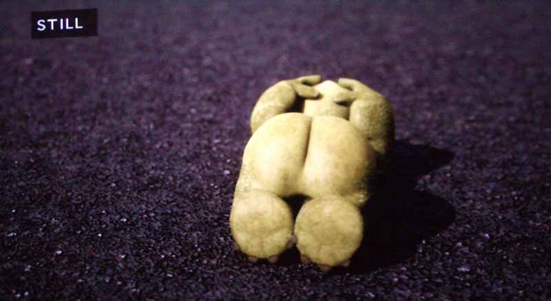 Optoma HD81 DLP Projector Review | Audioholics