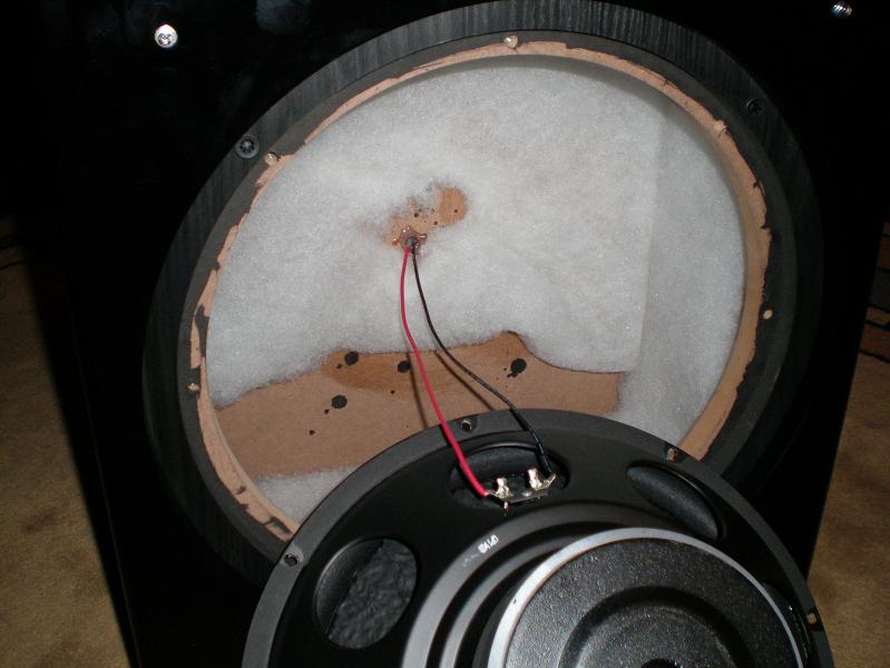 Cadence CSX15 Mark II Subwoofer Review