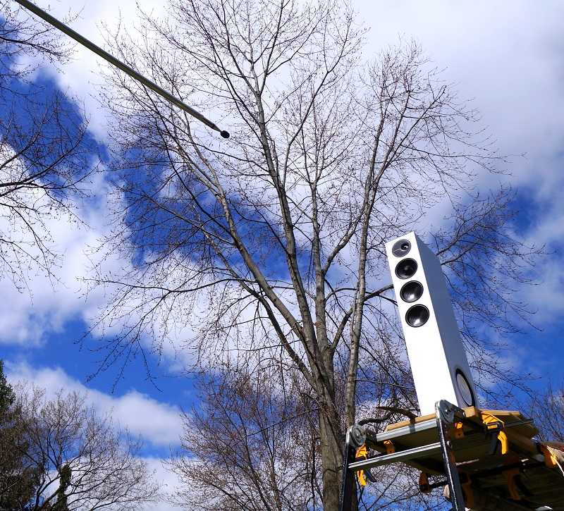 Definitive Technology Demand D15 Tower Speaker Review | Audioholics